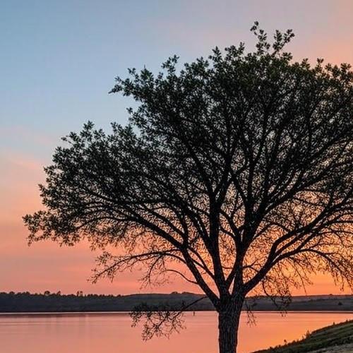 JUST IN: Dem Governors Form ‘Shadow’ Health Alliance To Defy RFK Jr.