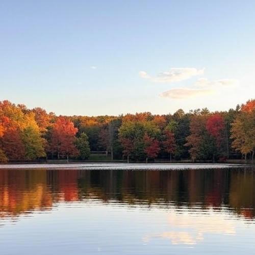 Democrat Senate Candidate CRUMBLES As Campaign Manager RESIGNS After ...