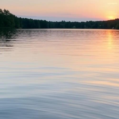 NEW: Trump Unleashes Bold Immigration Overhaul After Deadly Attack In D.C.