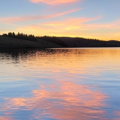 JUST IN: MS-13 Gang Member Drops TikTok Video While DHS Is Muzzled By ...