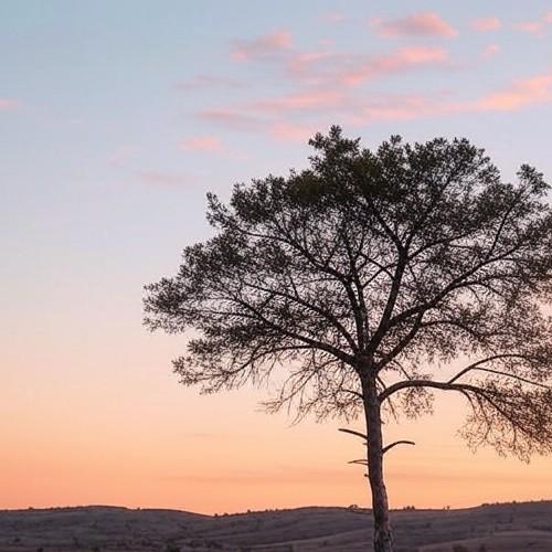 WATCH: Jon Stewart Defends Dangerous Move Against ICE Agent As ‘Small Act’