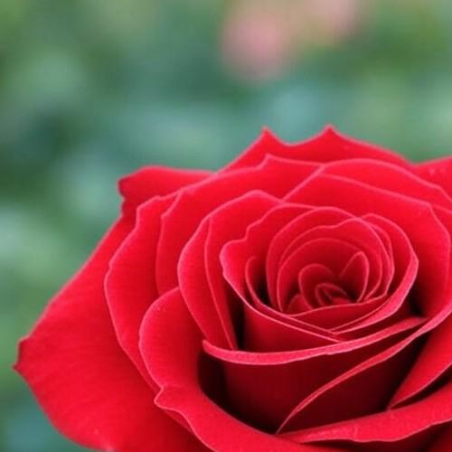 BREAKING: FBI Executes Search Warrant On Washington Post Reporter’s Home