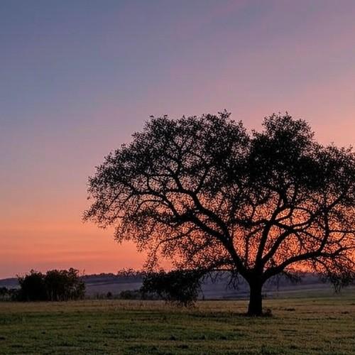 Chicago Teachers Union Shows Total Ignorance… Misspells ‘Governor’ On Flyer