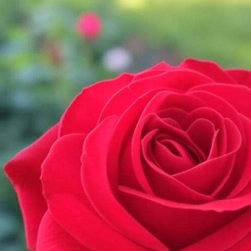 BREAKING: Khamenei Lashes Out At Trump After Protests Lead To 5,000 Deaths