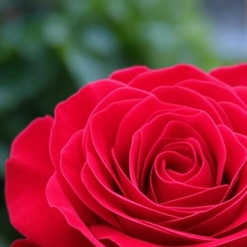 BREAKING: Walz Admits Police RETREAT As Protesters Take Full Control In ...