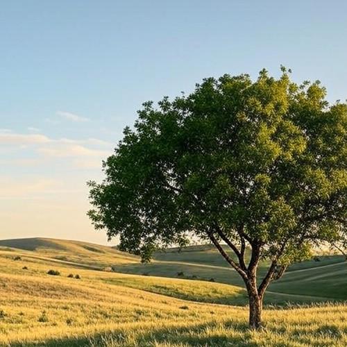 JUST IN: Border Patrol Commander Stripped Of Social Media Access After ...