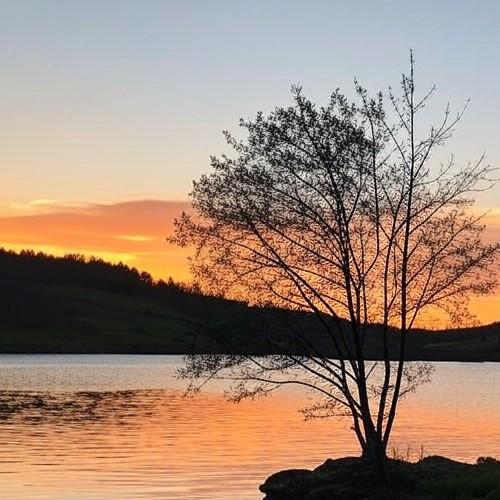 NEW: U.S. Strike Captures Maduro… A Surgical Success With Zero Aircraft ...