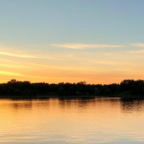 Tempers Flare... Rep. Pressley Sparks Chaos During Hearing On Minnesota ...