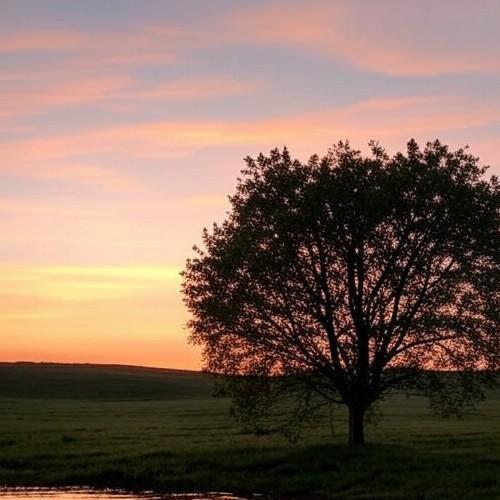 Senate Majority Leader Moves Forward With Bold Voter ID Legislation